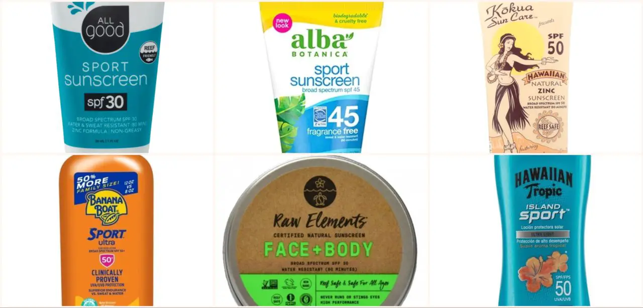 Best Reef-Safe Sunscreens for Your Hawaii Trip: 2025 Updated - Hawaii ...