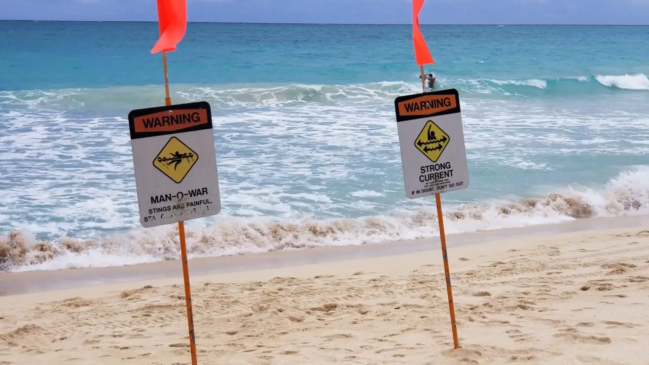 Top Safety Tips When Traveling to Hawaii - Hawaii Family Life