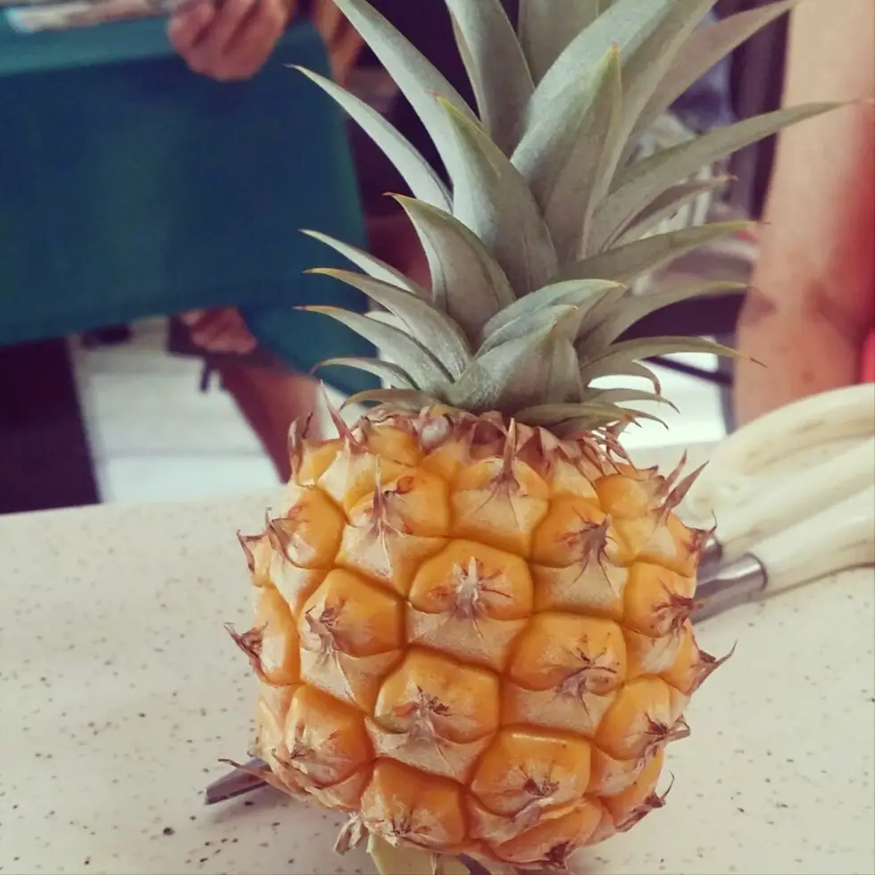 Hawaii's Favorite 15 Fruits - Hawaii Family Life